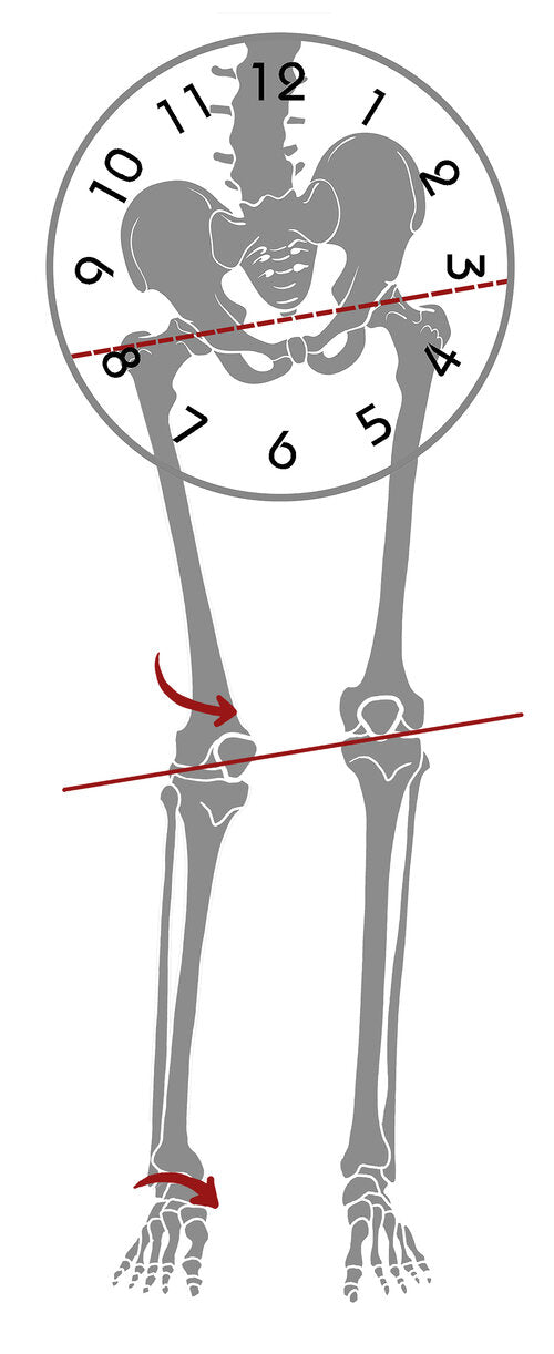 Pelvic Clock Device | Pelvic Clock Exercise Ball | Pelvic Clock