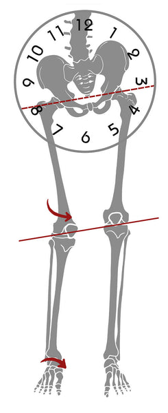 Pelvic Clock Device | Pelvic Clock Exercise Ball | Pelvic Clock